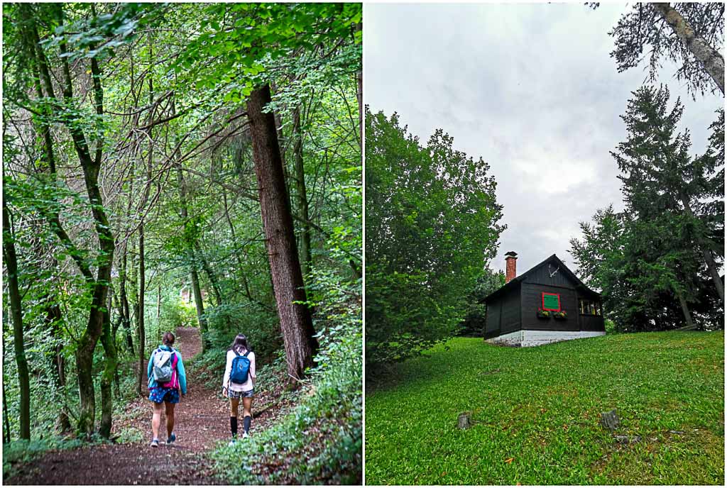 Hiking in Graz: our experience on the Mühlbacherhütte-Pleschkogel trail ...